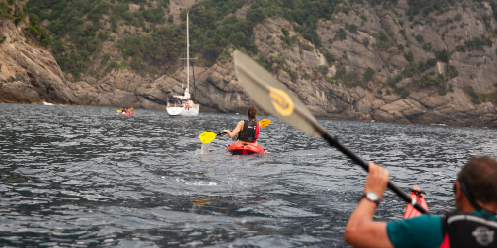 Marine Citizen Science: how to and why is it important | Outdoor Portofino