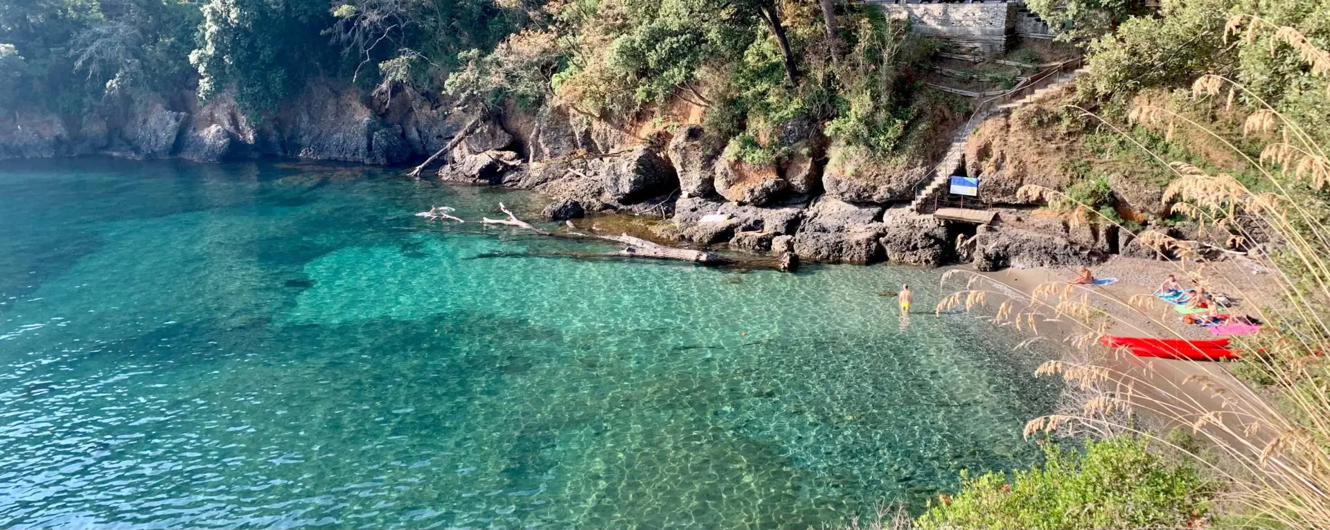 Paraggi Bay, Portofino: 5 interesting facts about the flora and fauna