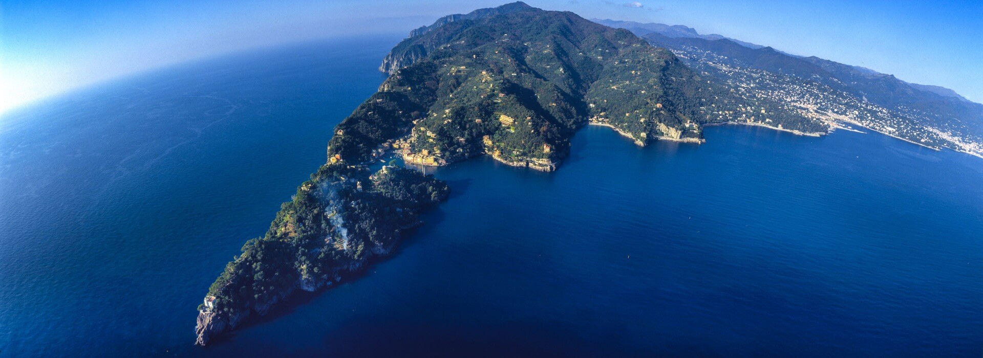 Paraggi Bay, Portofino: 5 interesting facts about the flora and fauna