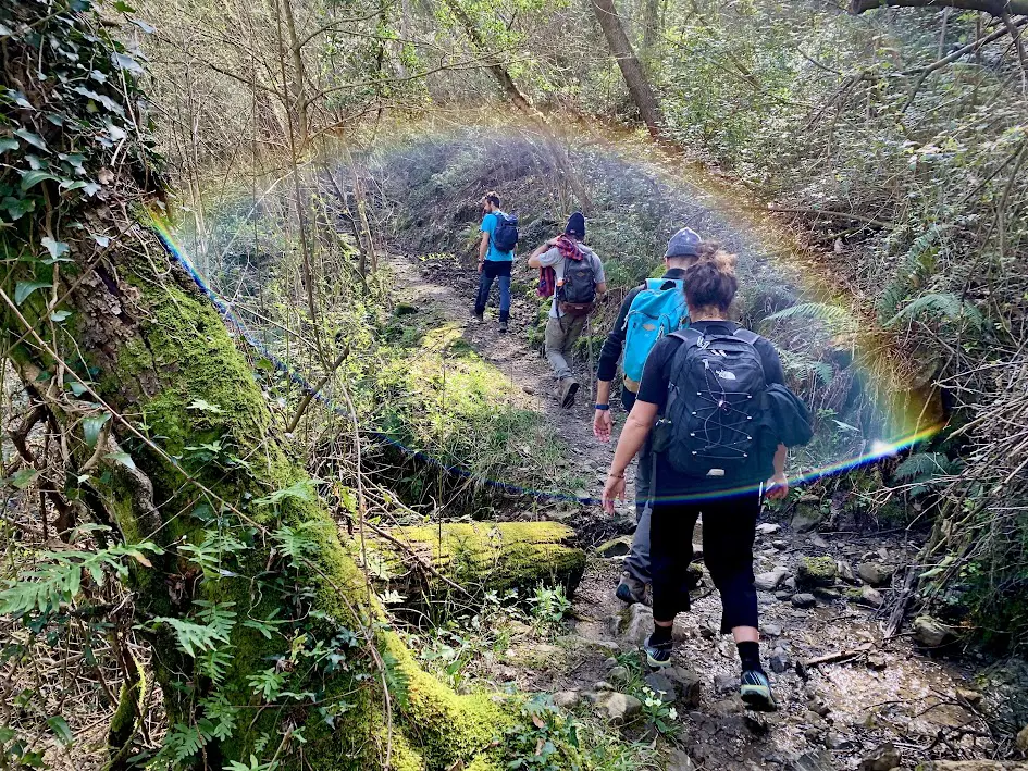 Citizen Science: A Proactive Approach to Connect Communities with the ...